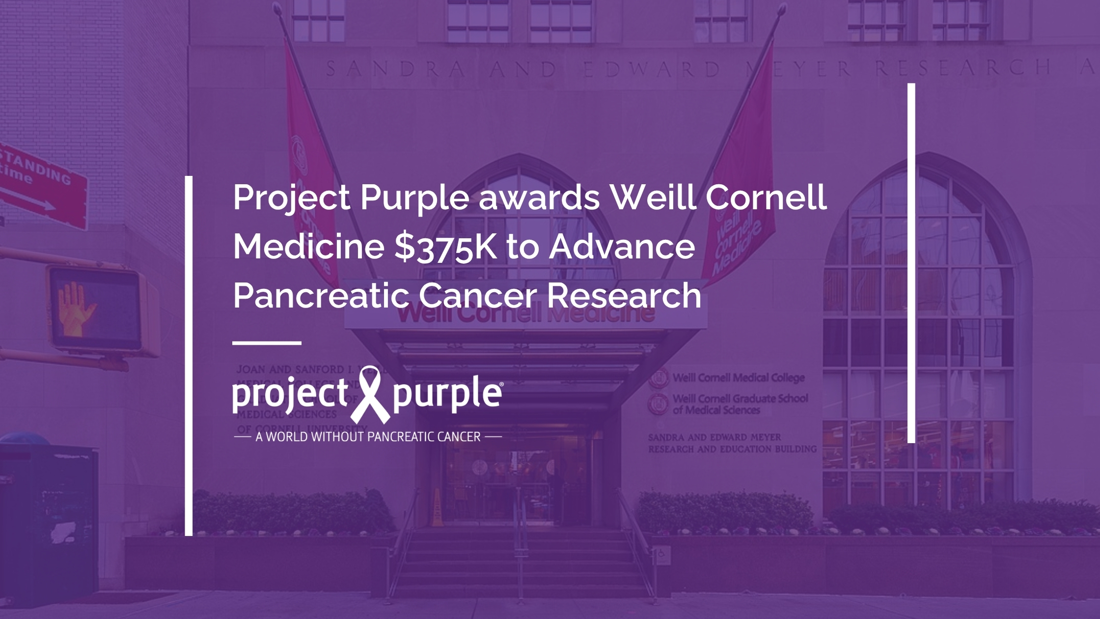 Project Purple awards Weill Cornell Medicine $375K to Advance ...